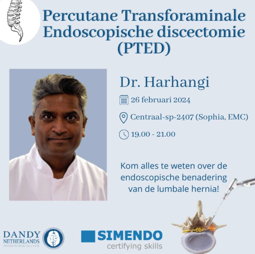 Events - Dandy Netherlands